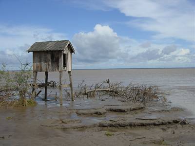 O que precisamos saber sobre o Amazonas